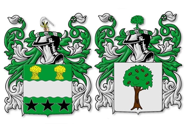 How to Unlock the Secrets of Your Family Crest | GiftsOnline4U